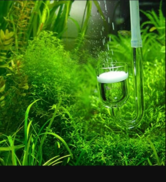 The Best CO2 Diffusers for Aquarium - (2022 Reviews & Guide) - Zallag
