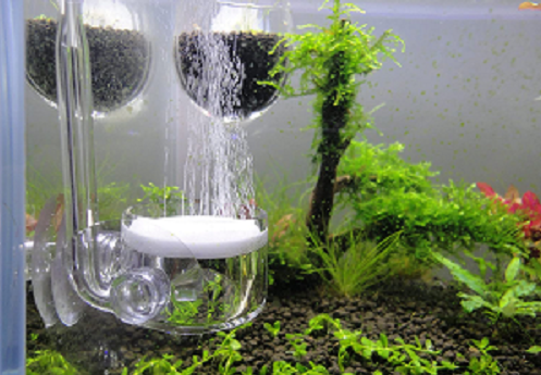 The Best CO2 Diffusers for Aquarium - ([year] Reviews & Guide) - Zallag