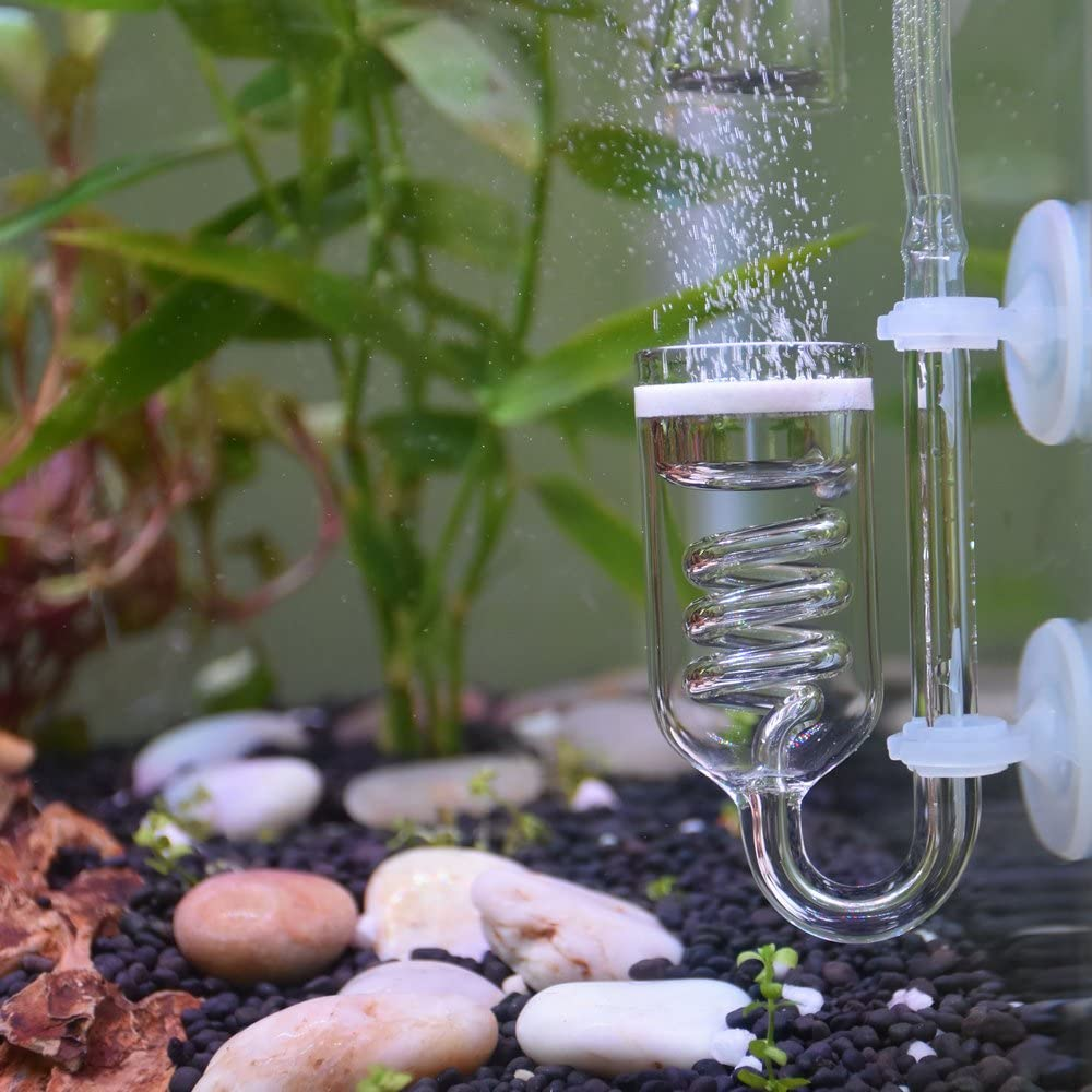 The Best CO2 Diffusers for Aquarium - ([year] Reviews & Guide) - Zallag